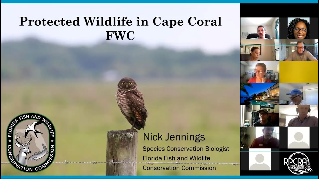 Florida Fish & Wildlife Commission - Ask the Experts Webinar - YouTube