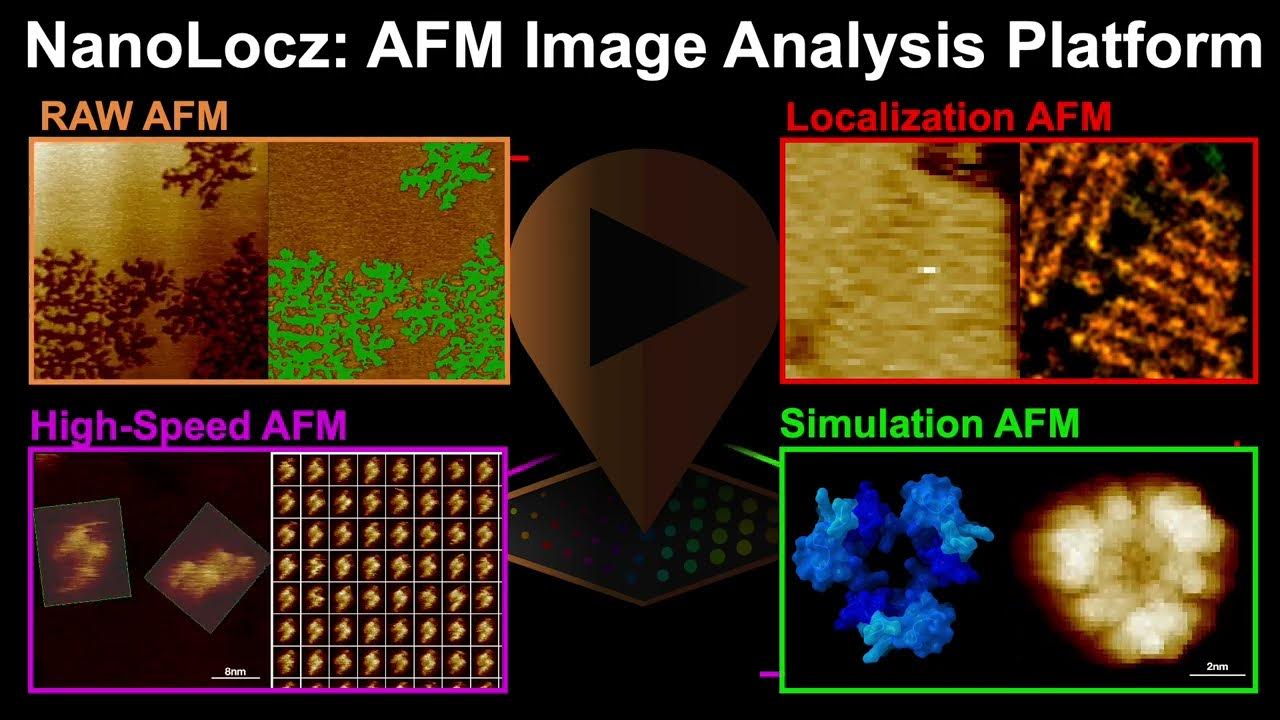 NanoLocz: Image Analysis Platform for AFM, High-Speed AFM, and ...