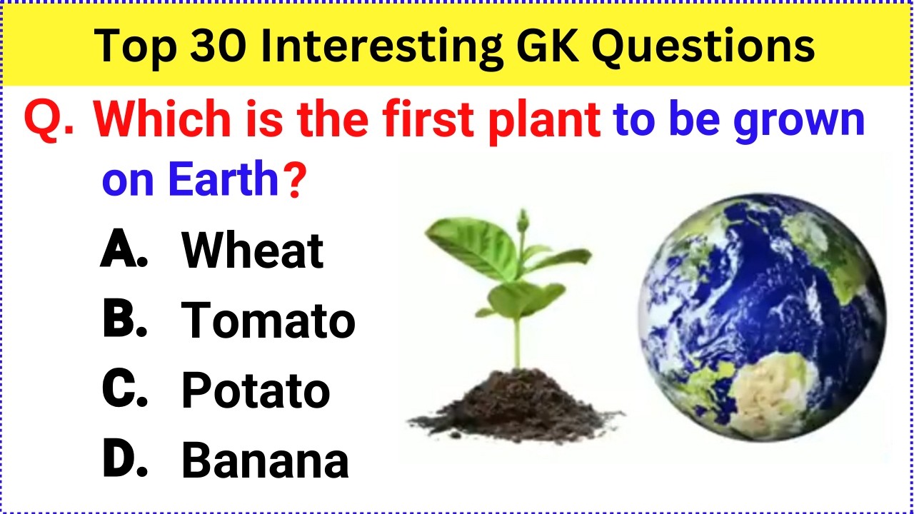 Top 30 Gk Question and Answer | Best Gk Questions and Answers | Gk Quiz ...