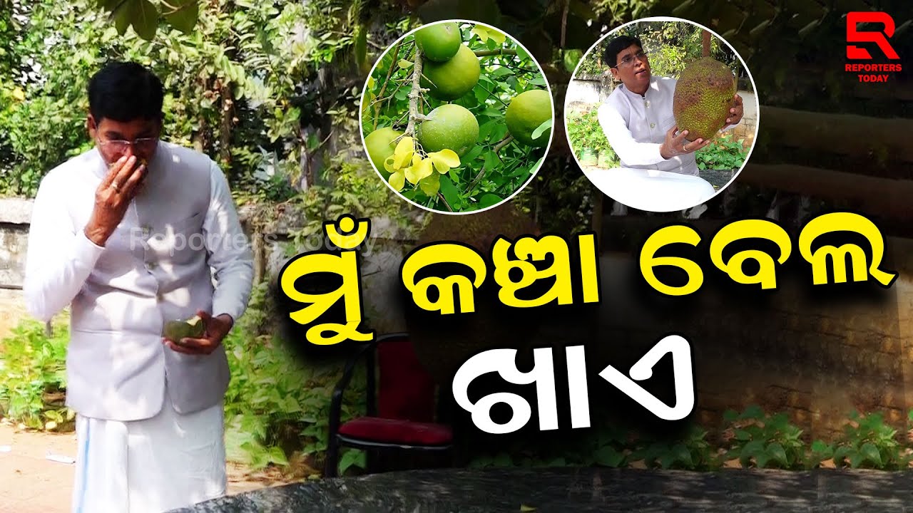 ଅରୁଣଙ୍କ ବାଡିରେ ପଣସ ଓ ଫୁଲ, ଫୁଲକୁ ଧରି ଅରୁଣଙ୍କ ପ୍ରେମ କବିତା || Nayagarh MLA ...