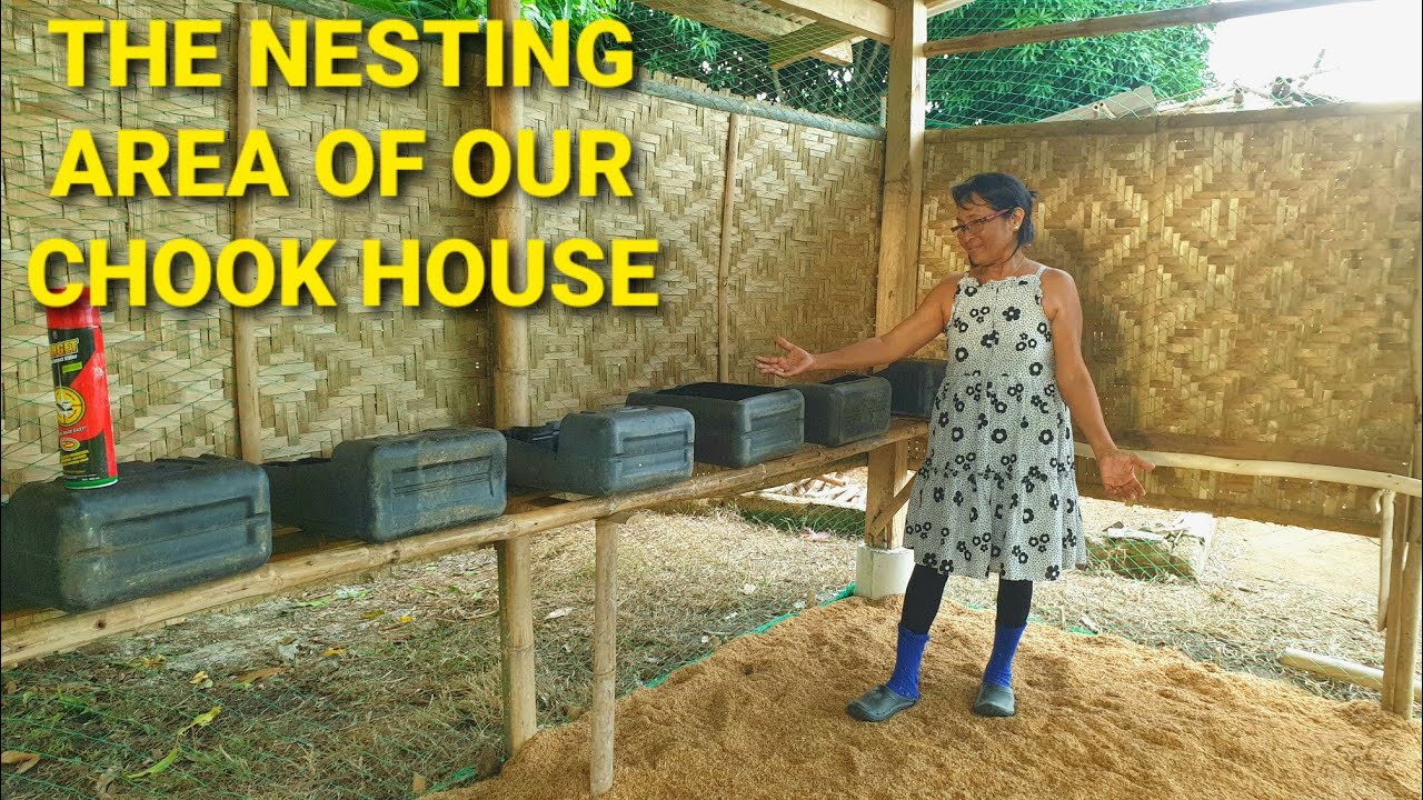 THE NESTING AREA OF OUR CHOOK HOUSE - YouTube