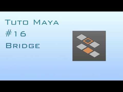 16. Bridge - YouTube