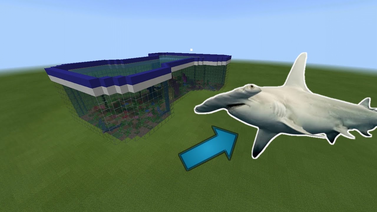 How To Make a Hammerhead Shark Farm in Minecraft PE - YouTube