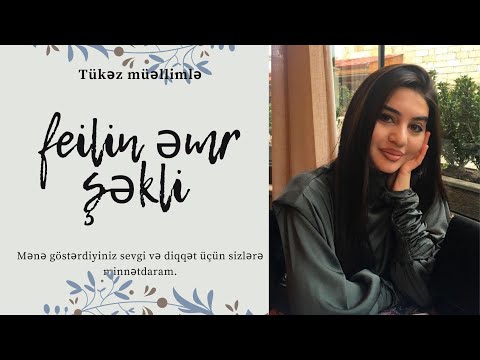 Feilin şəkilləri. Feilin əmr şəkli