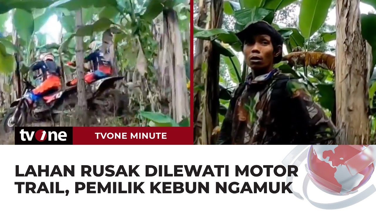 Peserta Motor Trail Terobos Kebun Pisang, Pemilik Marah dan Minta Ganti ...