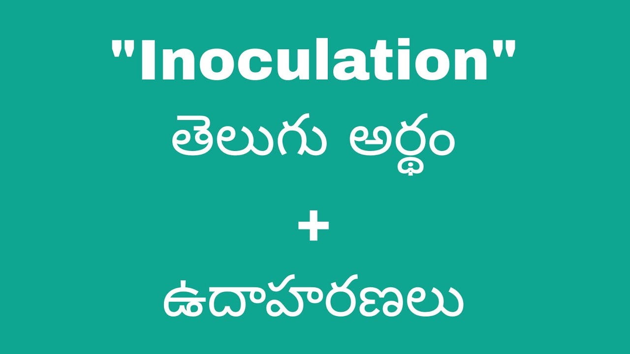 Inoculation Meaning In Telugu With Examples Inoculation inoculation-meaning-in-telugu-with-examples-inoculation