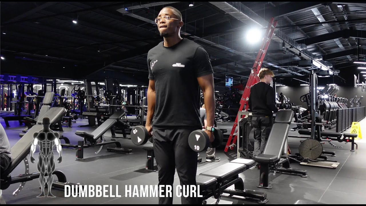 How to Do a Dumbbell Hammer Curl | Exercise Tutorial - YouTube