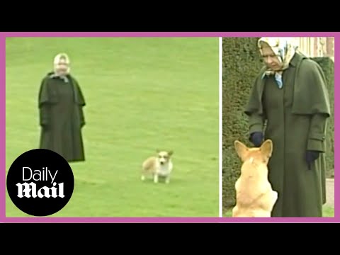 What Are The Names Of Queen Elizabeth'S Corgis