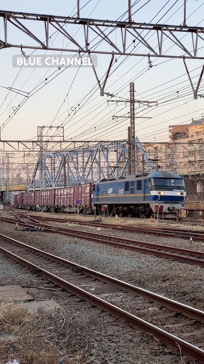 (貨物列車) 2025/03/01 1056レ EF210-306 + コキ17B (福岡タ〜東京タ) #Shorts - YouTube