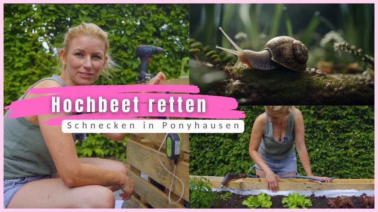 Schnecken in Ponyhausen I Rette das HOCHBEET I Annica vs Nackt Schnecke - YouTube