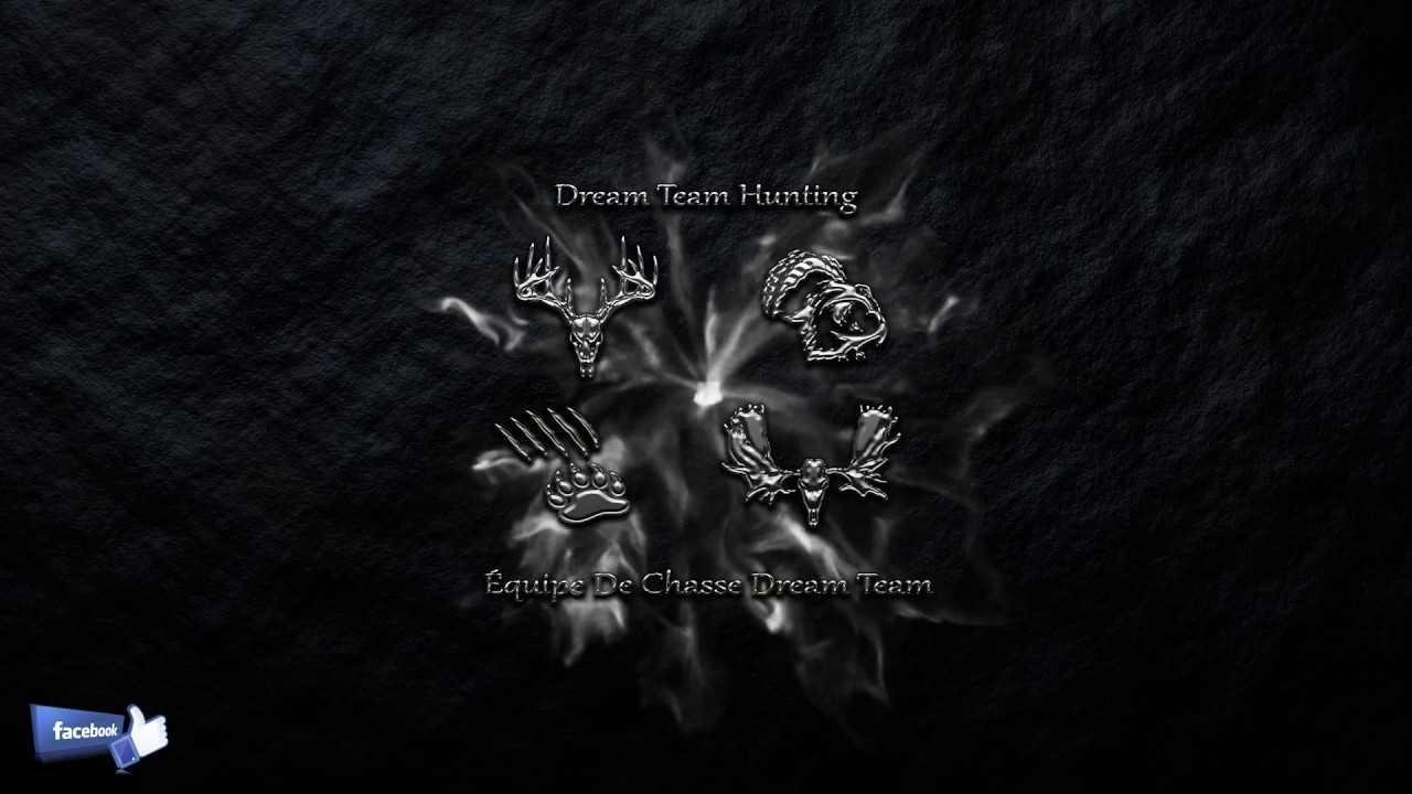 Ours pas peureux--- Cocky bear - YouTube