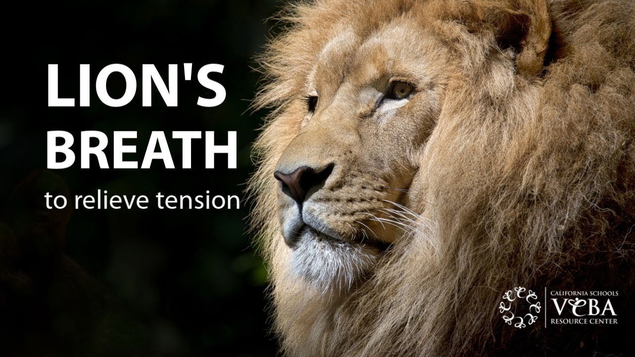 Lion's Breath - YouTube