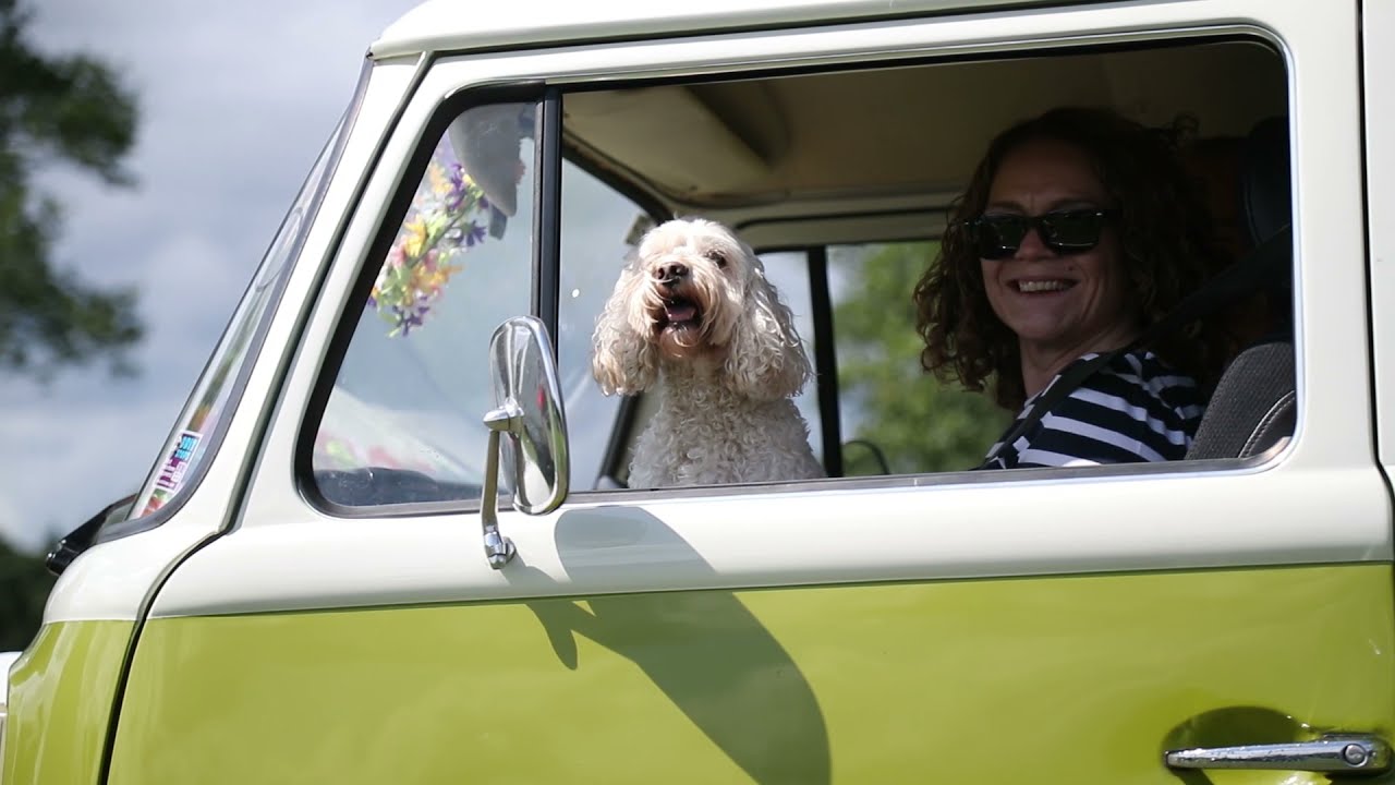 VW Festival : 2019 show video - YouTube