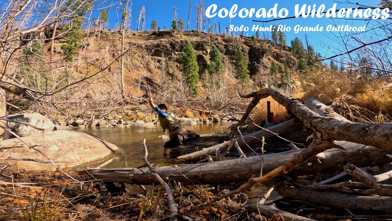 Colorado Wilderness - On The Hunt : Wild Rio Grande Cutthroat Trout ...