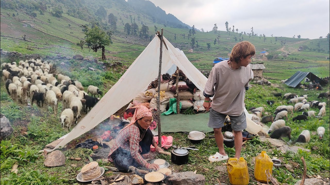 Daily Life of Nepali Herdsmen in a Himalayan Village | Peaceful, Fun ...