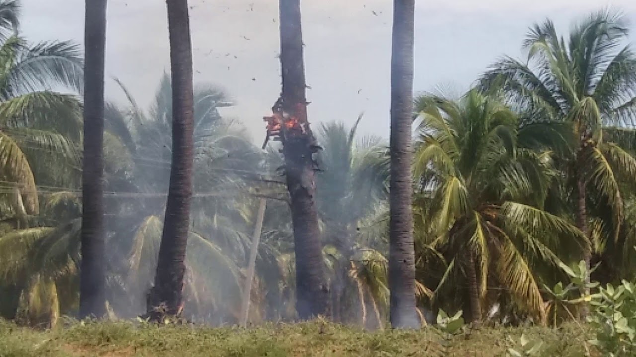 Save panamaram(2) - YouTube