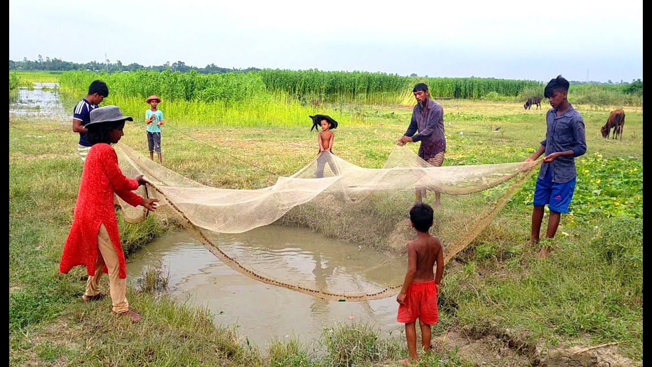 Best asian village fishing - Asian traditional net fishing by village ...