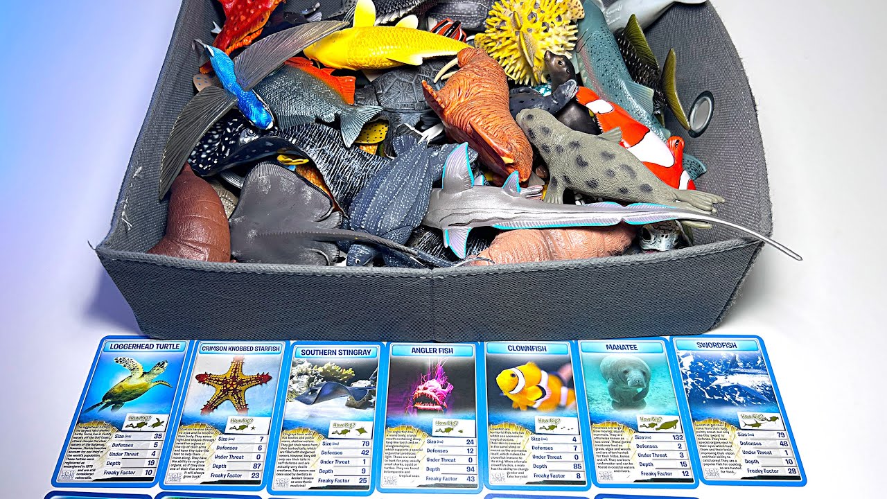 Fish Collection - Clownfish, Angler Fish, Piranha, Sturgeon, Gar Fish ...