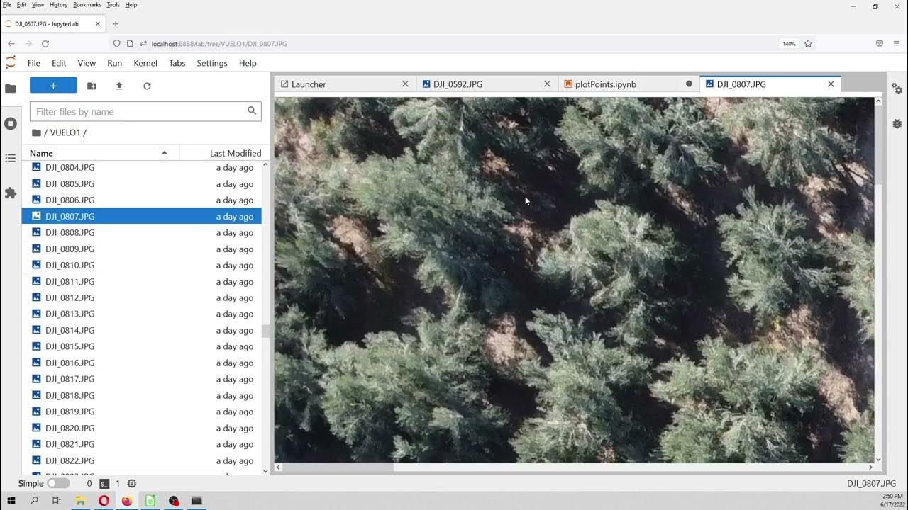 Geospatial representation drone camera coordinates with Python and ...