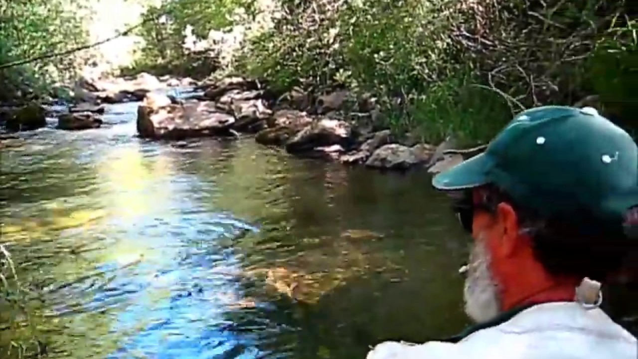 Pesca con mosca seca en rio de montaña con aguas rápidas trucha con ...