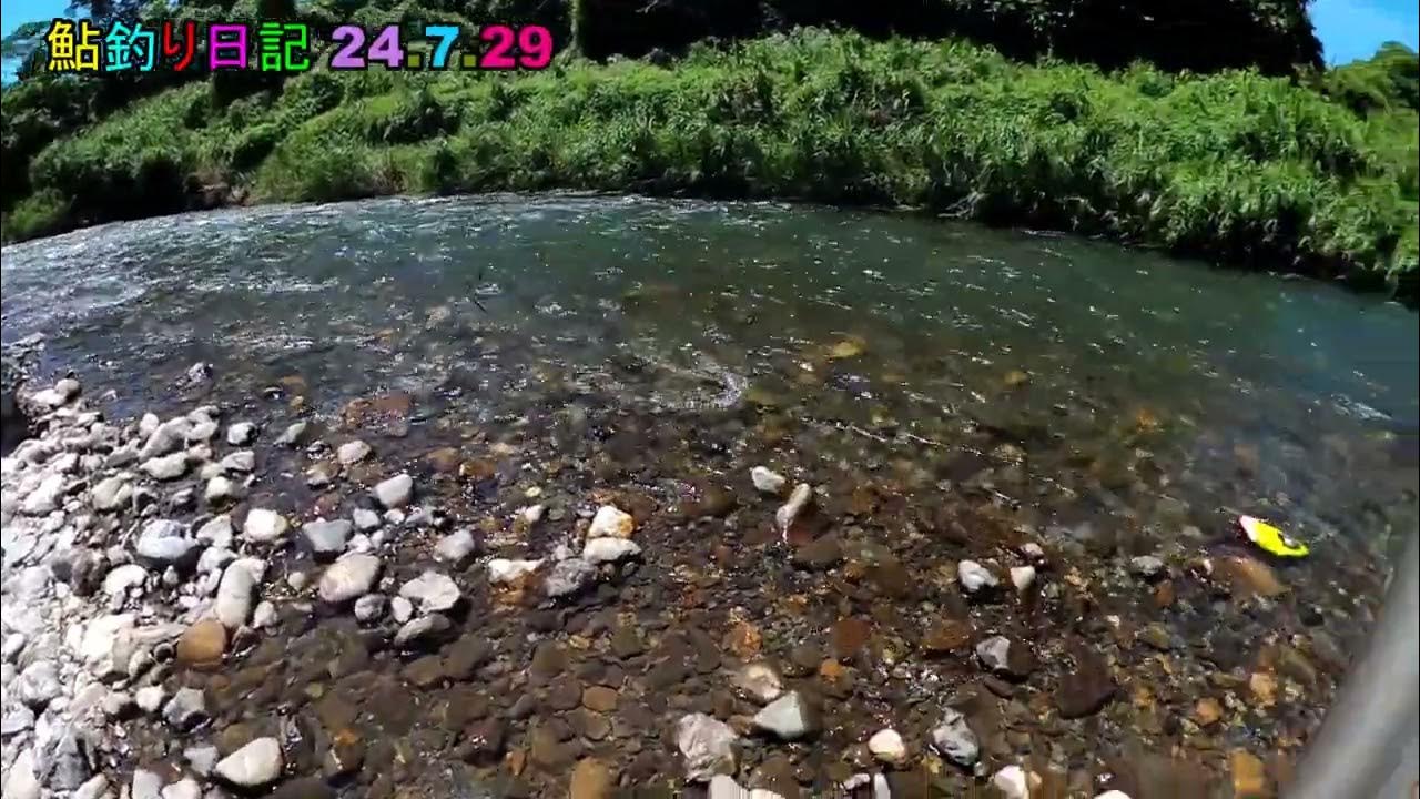 鮎釣り日記 24 7 29 - YouTube