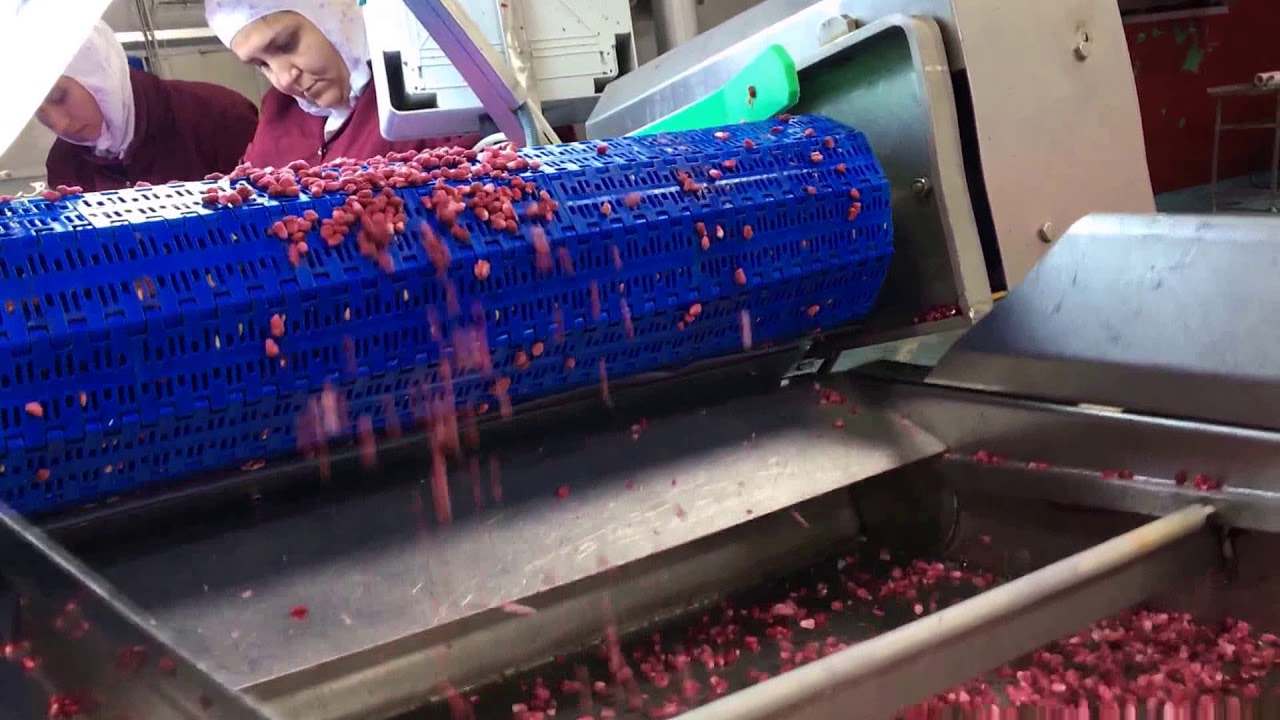 pomegranate extraction machine - YouTube