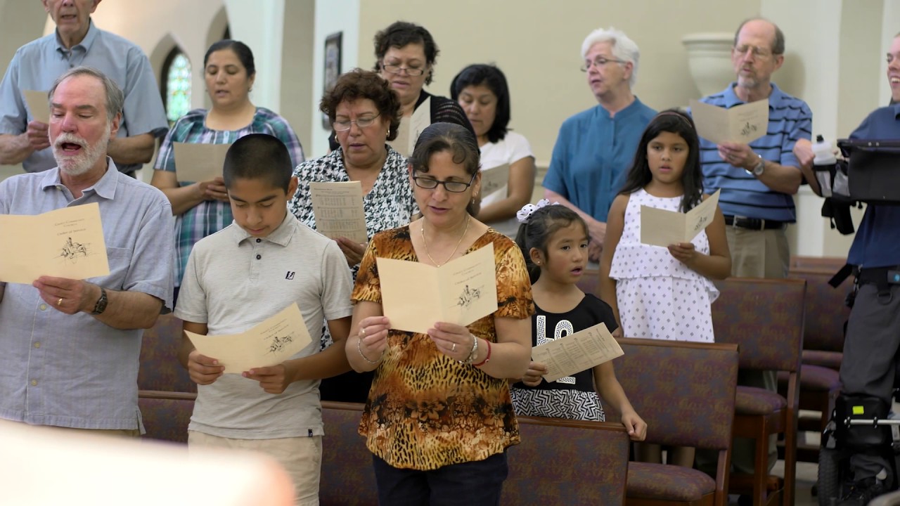 ONE LICENSE Overview Video - YouTube