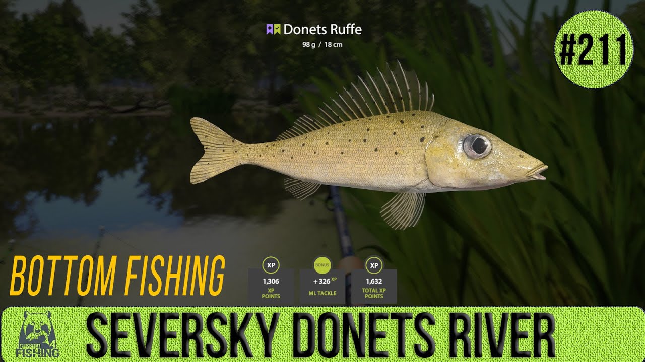 Russian Fishing 4 - Seversky Donets River - Bottom Fishing - #211 - YouTube