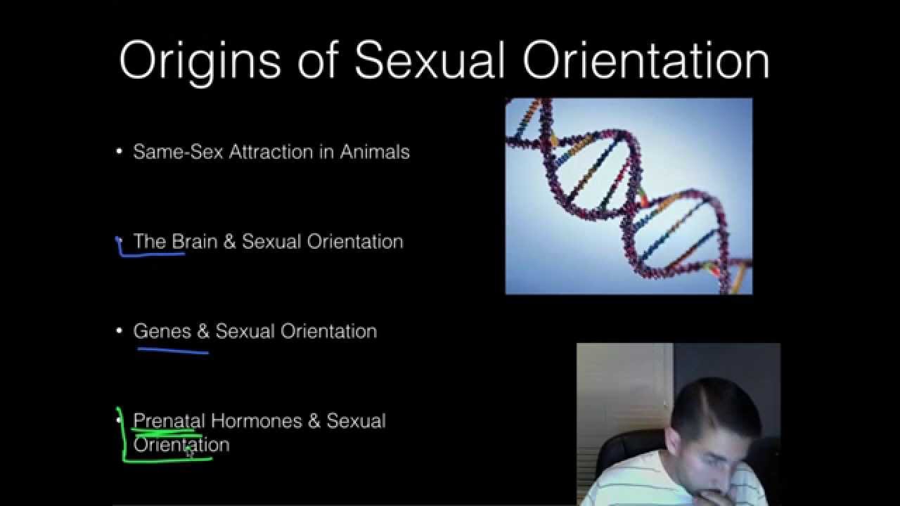 Ap Psychology Motivation Part 4 Sexual Orientation Youtube