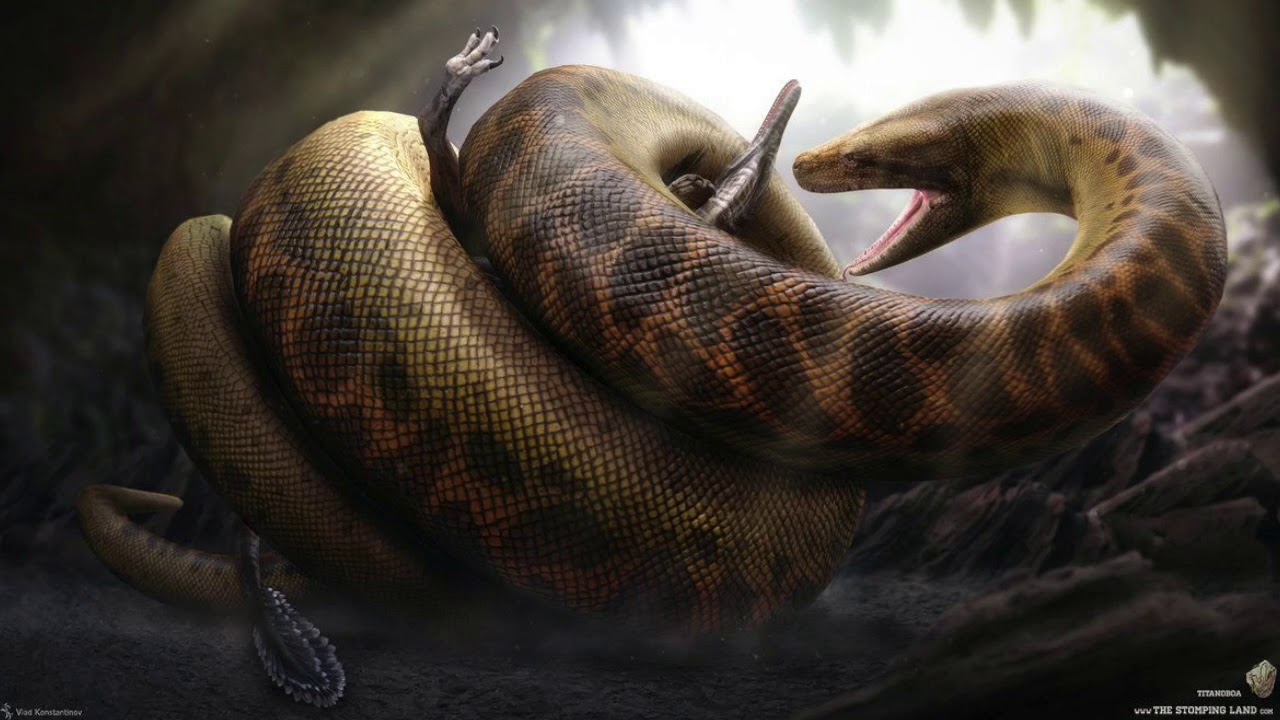 Cryptid files s3#2 : giant anaconda - YouTube