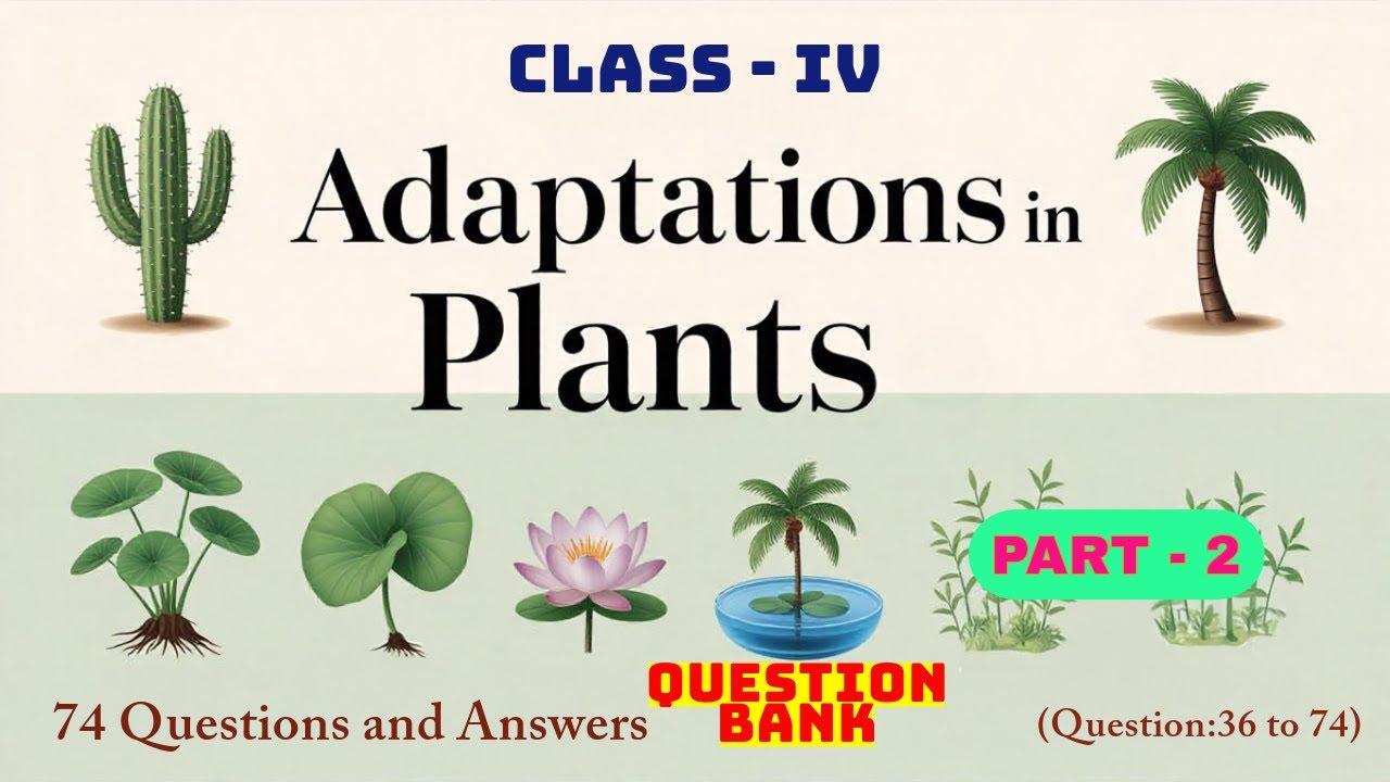 Adaptation in Plants, Part-2 (Question 36-74) | 74 Questions & Answers ...