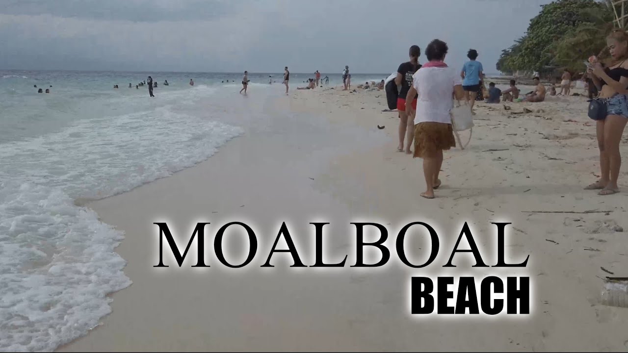 Moalboal Beach Cebu Philippines - YouTube