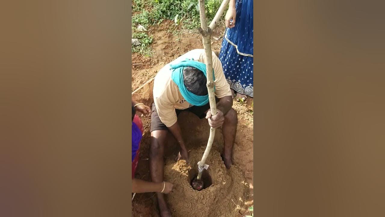 மரம் நடுவோம் நாட்டின் வளம் பெறுவோம் மரம் கடவுள் தந்த வரம் - YouTube