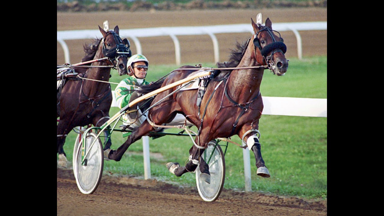 Roger Huston's Fantasy Race Series. Race #7 Little Brown Jug Champions ...