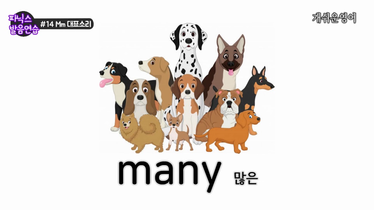 파닉스 영어발음 14 1 알파벳 Mm 첫소리 말하기 연습m으로 시작하는 영어단어 Youtube