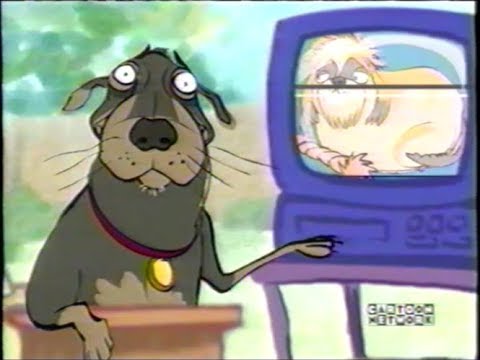 The Lewis Lectures - YouTube