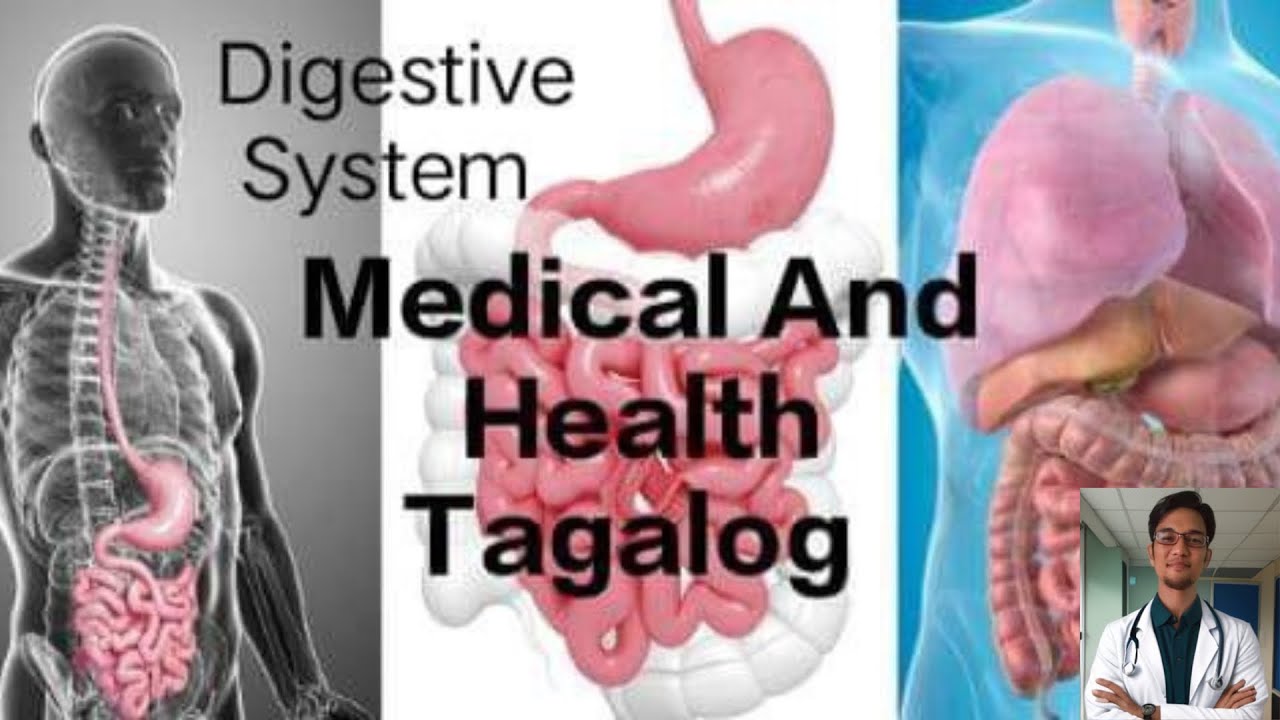 Ang Digestive System Explained | Pag-unawa sa Sistema ng Pagdudulot ...