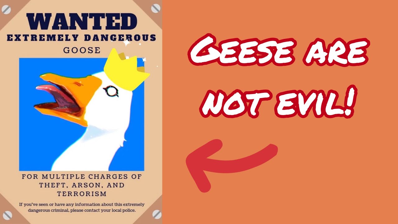 Why do people hate geese? - Goose Shower Thoughts #1 - YouTube
