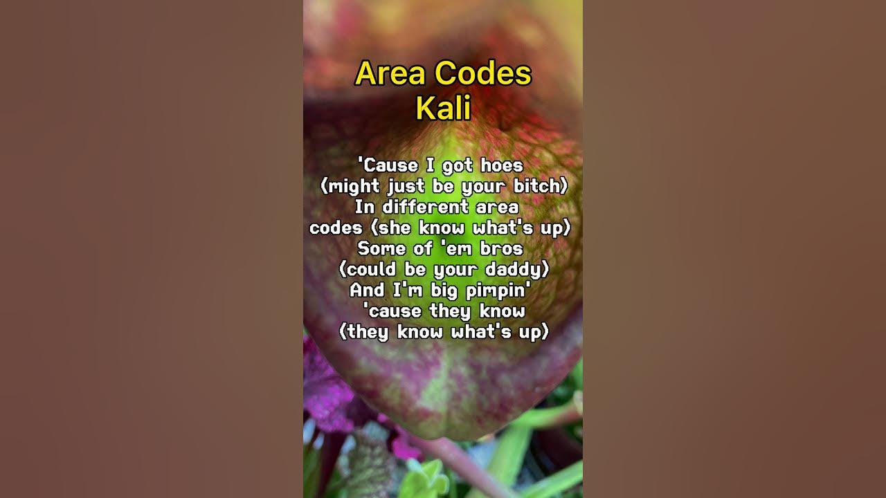 Area Codes Kali Lyrics shorts areacodes kali lyrics YouTube area-codes-kali-lyrics-shorts-areacodes-kali-lyrics-youtube