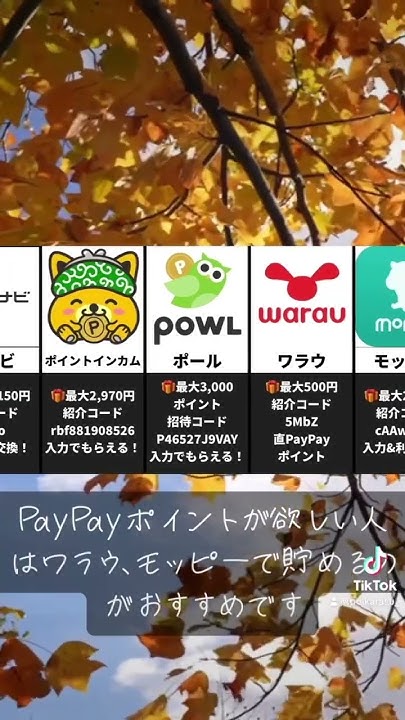 無料でPayPayポイント貯まる方法と27万円の貯め方と最強ポイントサイトランキング #ポイ活 #ポイ活初心者 #ポイントサイト #ペイペイ #ポイ活アプリ - YouTube