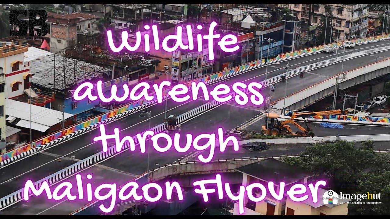 Maligaon Flyover: An wildlife awareness hub of Guwahati - YouTube