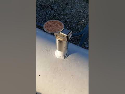 TD Williamson Pig Sig Activation - YouTube