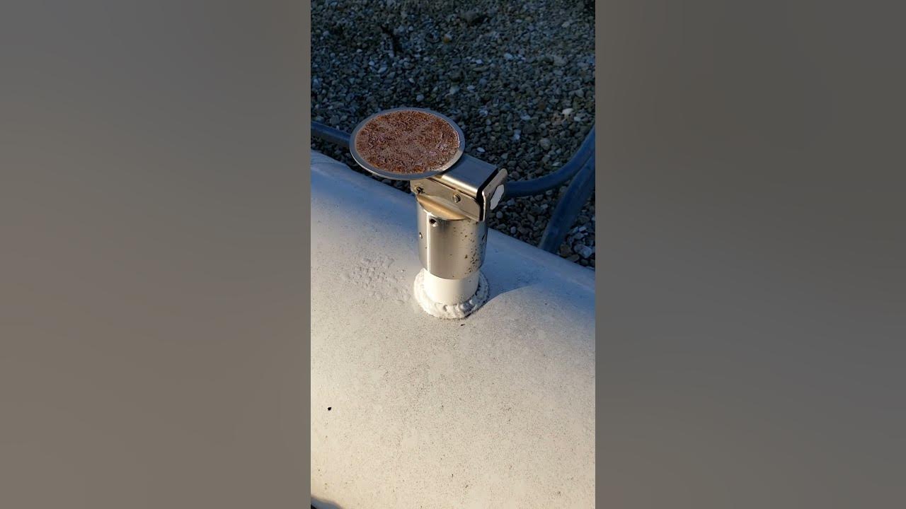 TD Williamson Pig Sig Activation - YouTube