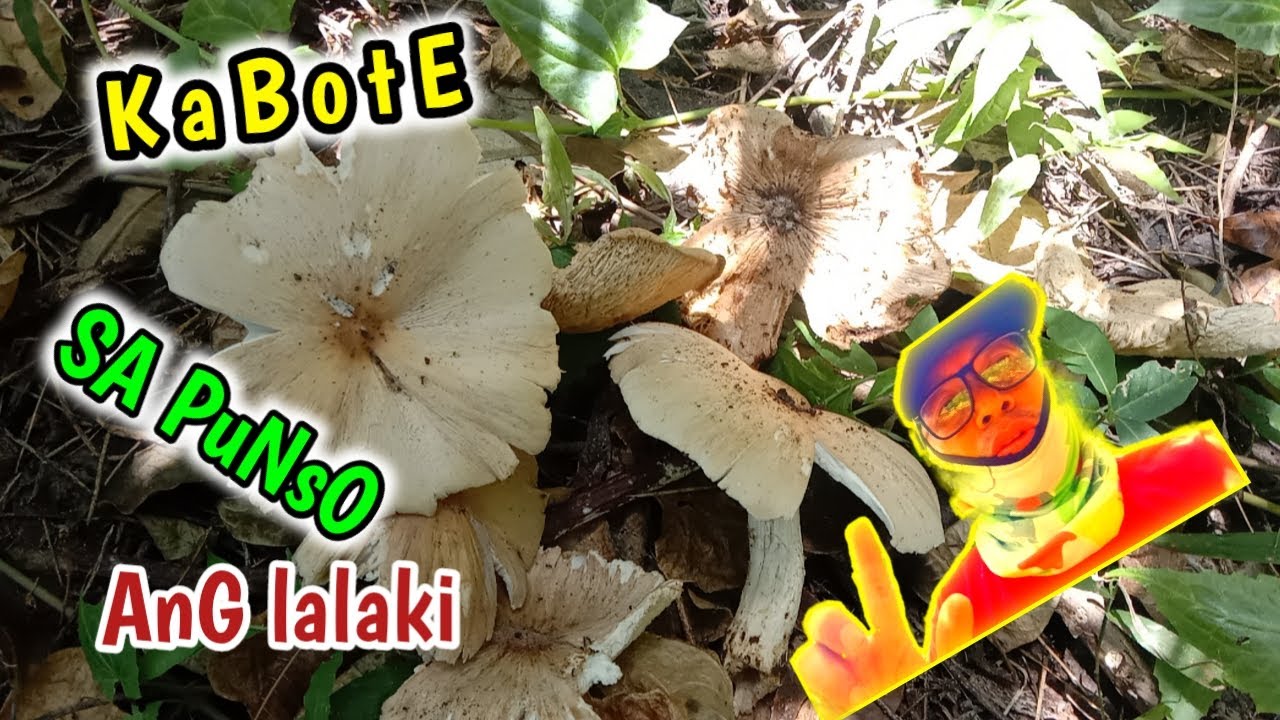 KaBotE sa PuNsO AnG Dami ang lalaki - YouTube