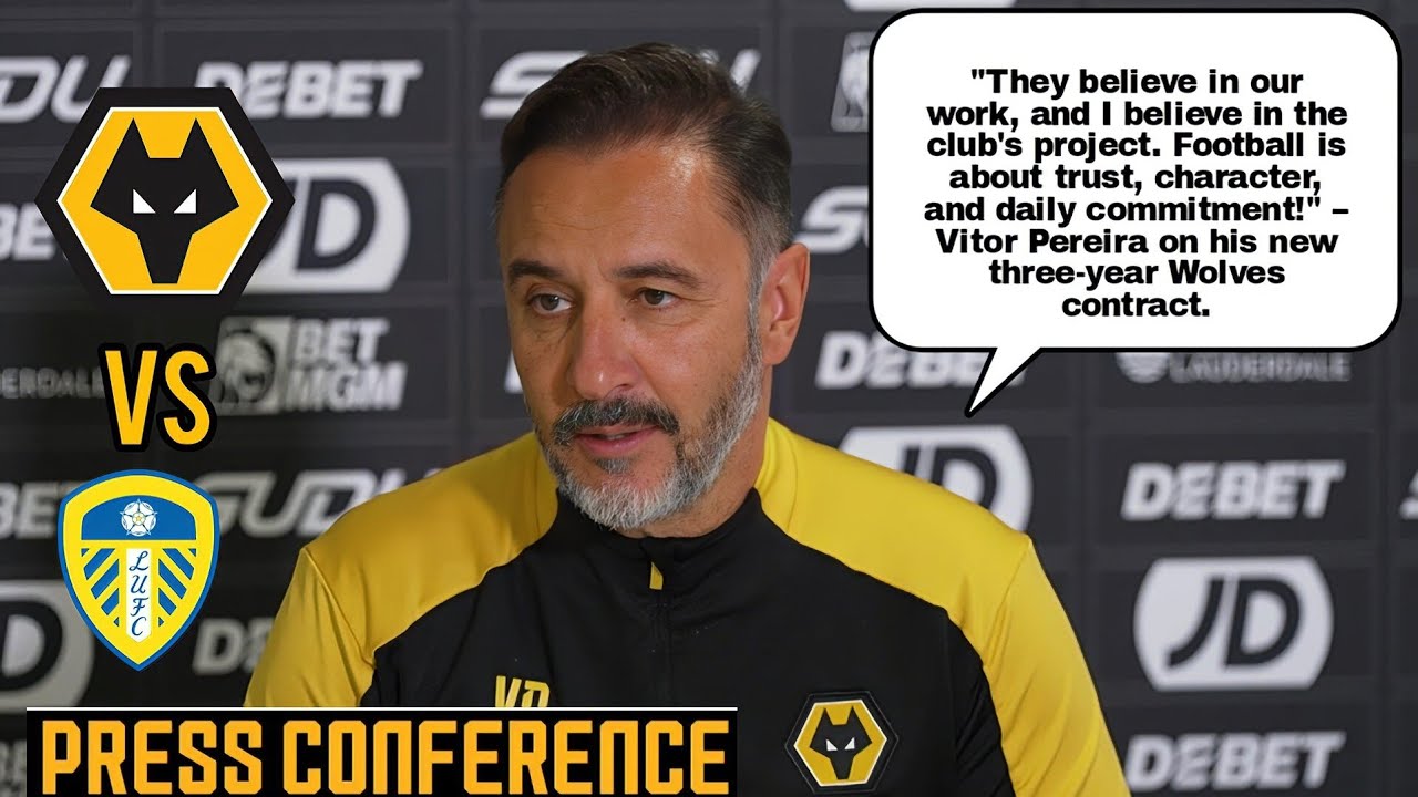 WHEN A WOLF IS IN PAIN, THE PACK MUST UNITE! | Vitor Pereira Press ...