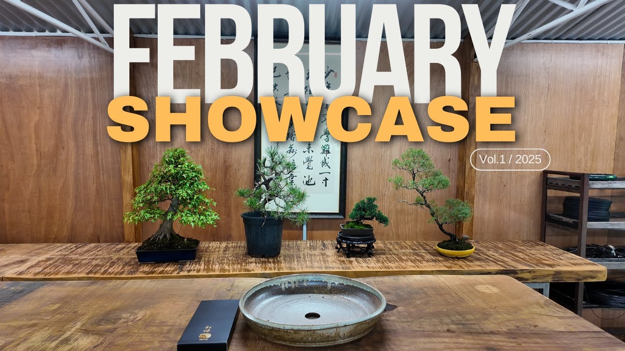 February Tree Showcase! - YouTube