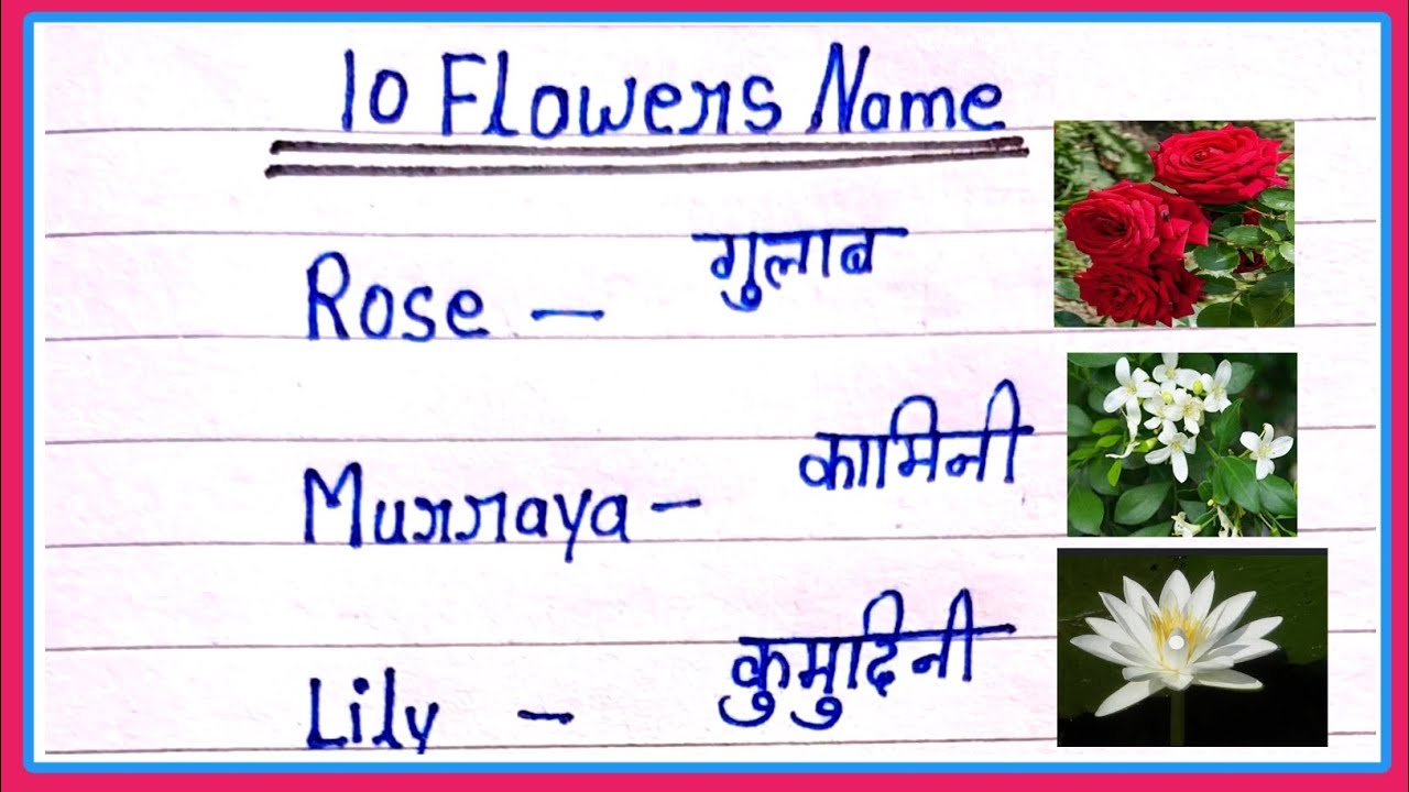 10 Flowers Name in english and hindi // Flowers name // Flower name ...