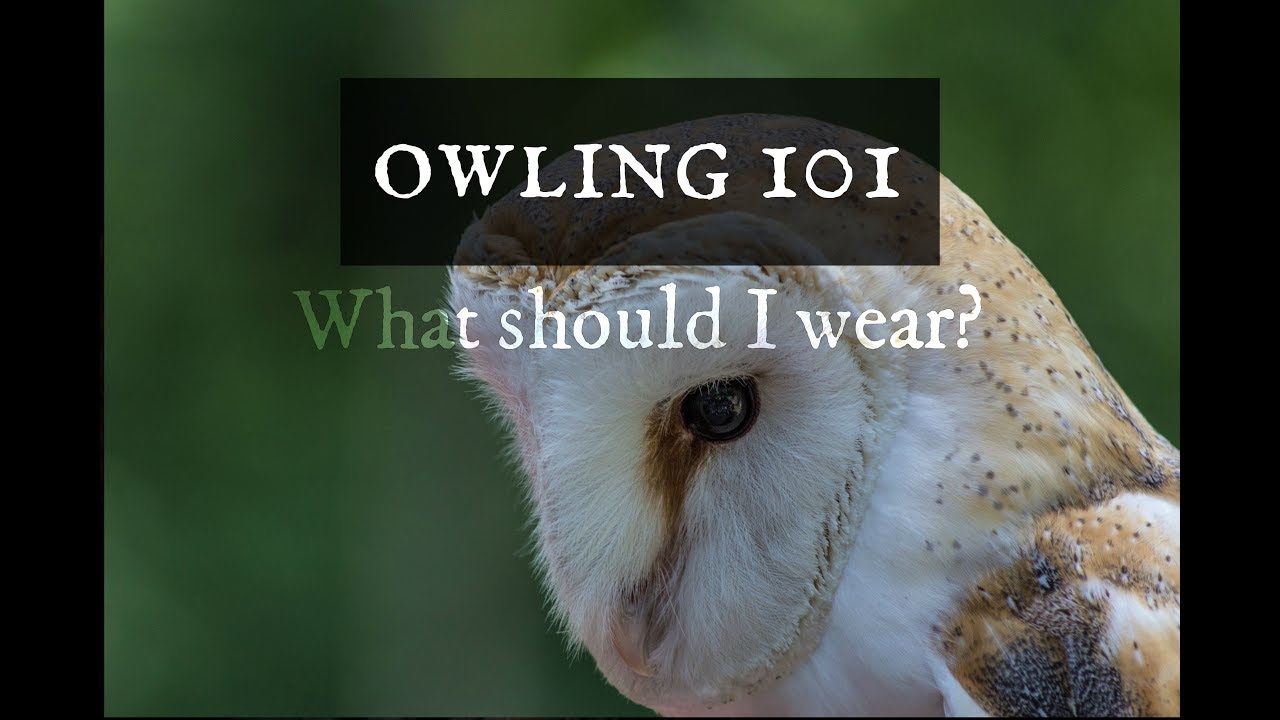 Owling 101: What should I wear? - YouTube