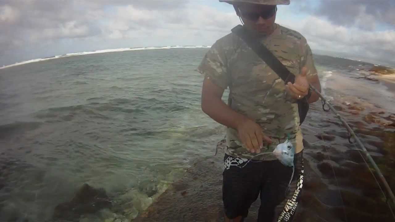 BSFO - December 21, 2011 Fishing @ Mokuleia Beach (Se7en's Kagami Papio ...