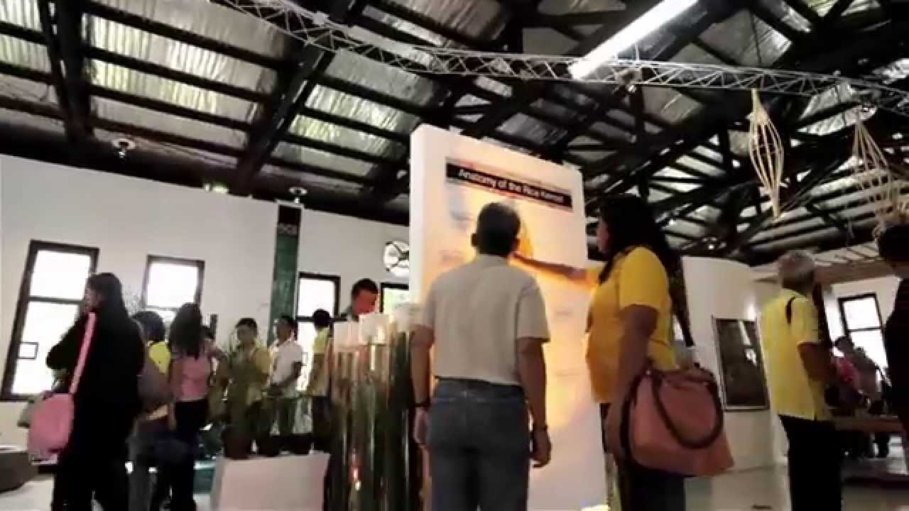 Rice Science Museum - YouTube